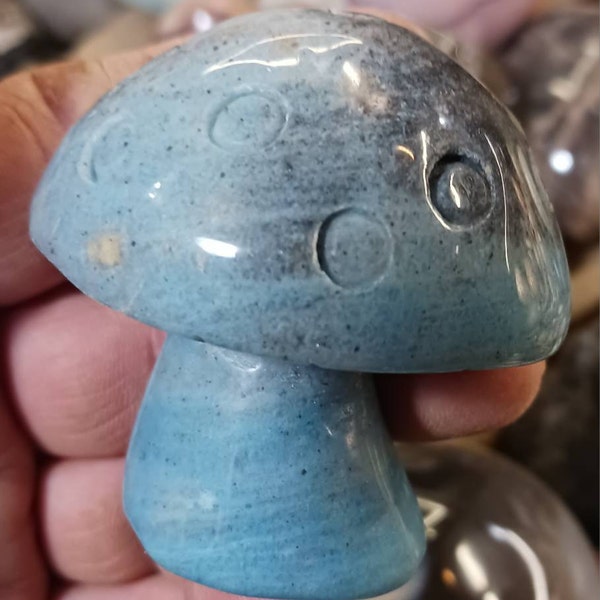 RARE Green Gobi Eye Agate Mushroom 2 1/4 - Etsy