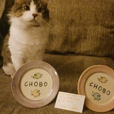 Cat Food Saucer on Pedestal / Ergonomic Food Dish / Elevated Cat Bowl ...