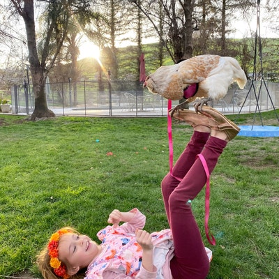 Midnight Princess Twirly Soft Dress Princess Dresscostume - Etsy