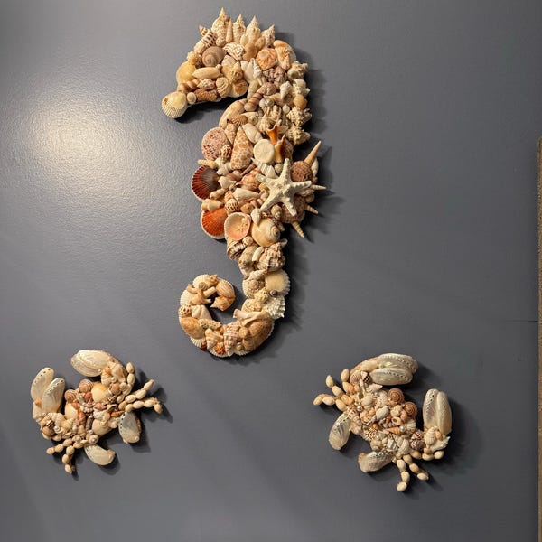 Seashell Seahorse Wall Art, 18" X 9" Coastal Wall Hanging, Seahorse ...
