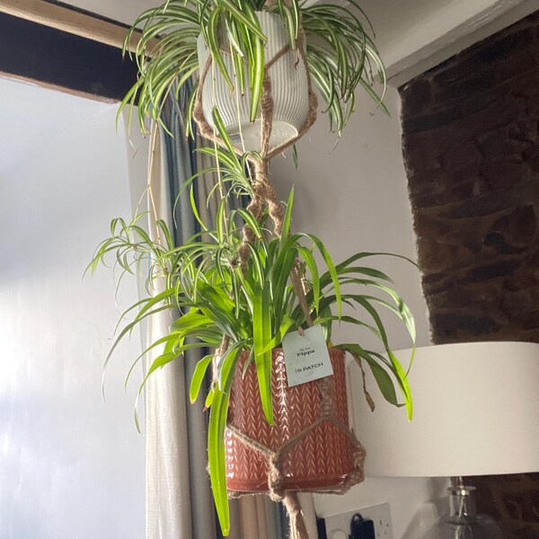 Macrame Cotton Plant Pot Hanger Net, Indoor Plant Hanging Basket ...