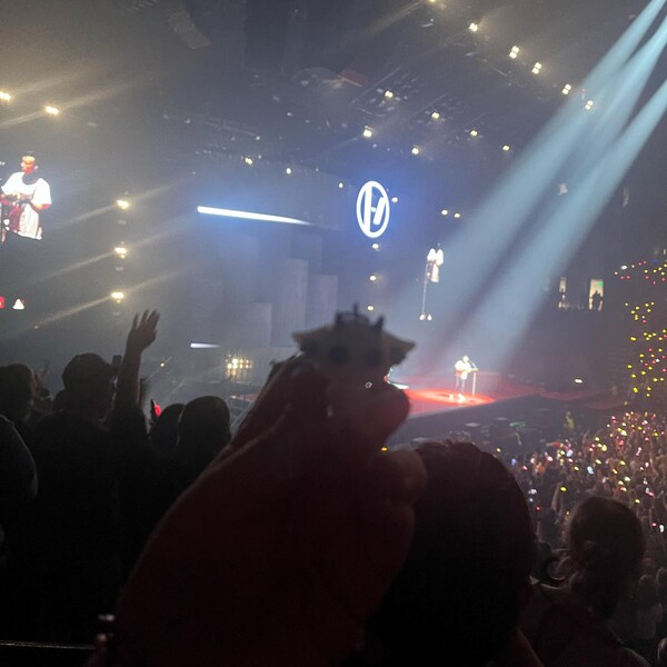 Ned Bayou Glow in the Dark Keychain - Twenty One Pilots Gift - Clancy ...