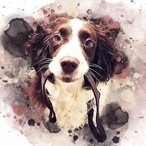 Add Colour to Any Photo Colourise Your Image. Photo - Etsy