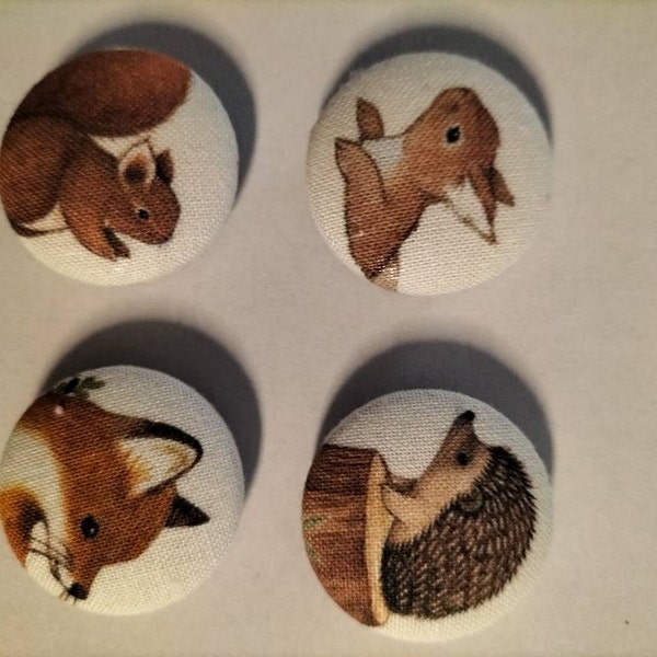 Animal Magnets, Bear Magnets, Fox Magnets, Bunny Magnets, Woodland ...