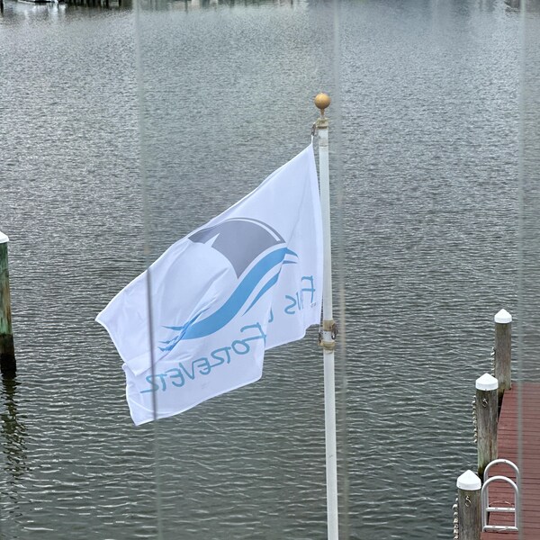 Fins up Forever RIP Jimmy Buffett Luggage Tag - Etsy