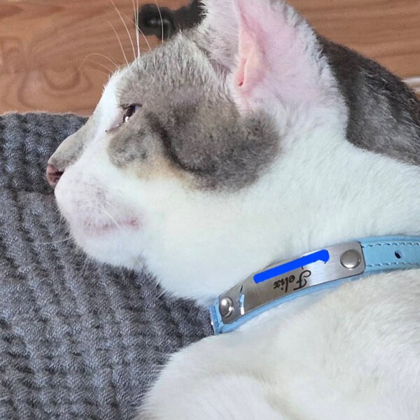 Leather Cat Collar With Name, Personalized Cat Collar, Engraved Custom ...