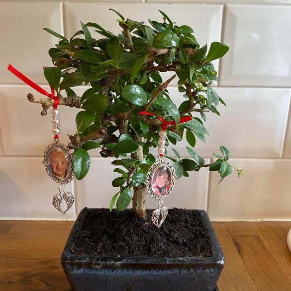 Bin Labels for Rubbish & Recycling, Kitchen Waste, Bin Vinyl Decal ...