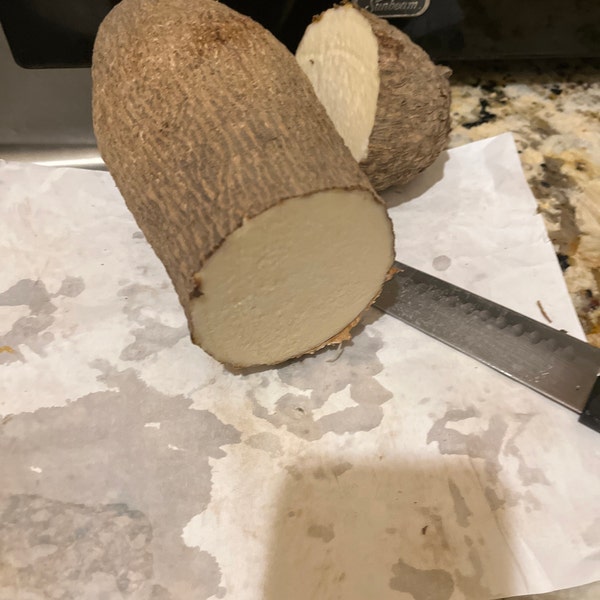 Dry Tiger Nut 7oz - Etsy