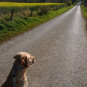 Page Boy Pyjamas Lounge Set Pjs Top Kids Wedding Personalised - Etsy UK