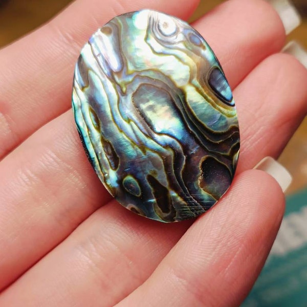 Operculum Shell Cabochon...paua Shell Cabochon...oval Cabochon ...