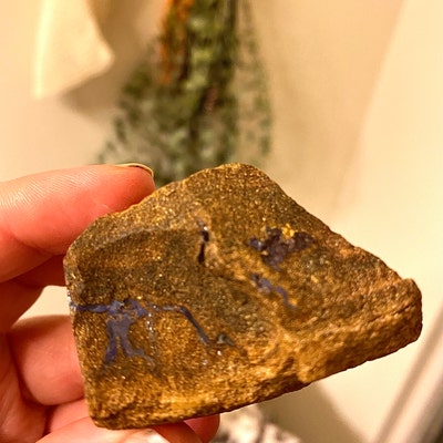 Yellow Wulfenite on Goethite Mapimi, Mexico Cabinet Specimen - Etsy