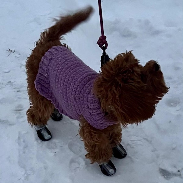CROCHET PATTERN, Crochet Dog Jumper, Pet Tutu, Crochet Dog Sweater ...