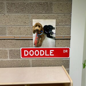Double Doodle, Double Doodle Lover, Double Doodle Sign, Custom Street ...