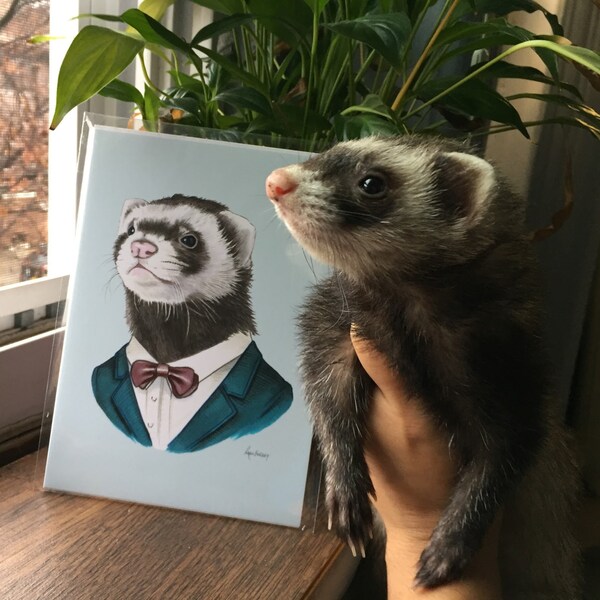 Ferret Art Print 5x7 - Etsy