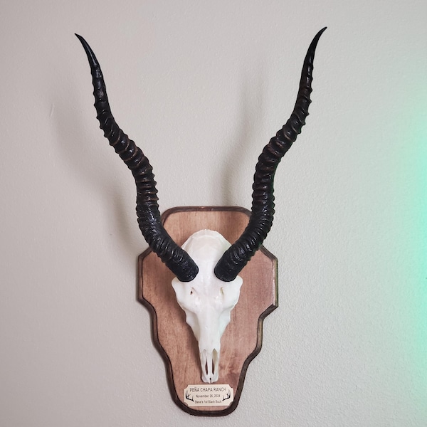 Custom Engraved 1.25x3-inch Brushed Gold Silver or Copper 1st Buck Doe ...