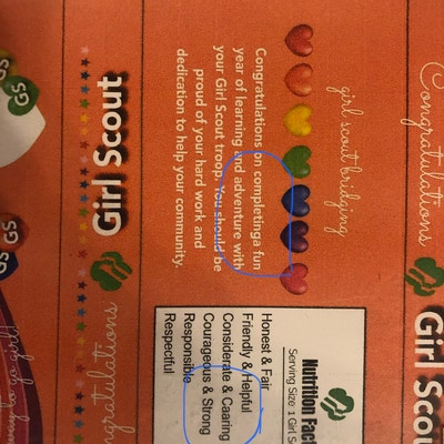 EDITABLE Girl Scout Troop Newsletter 8x10 Print at HOME Edit With ...