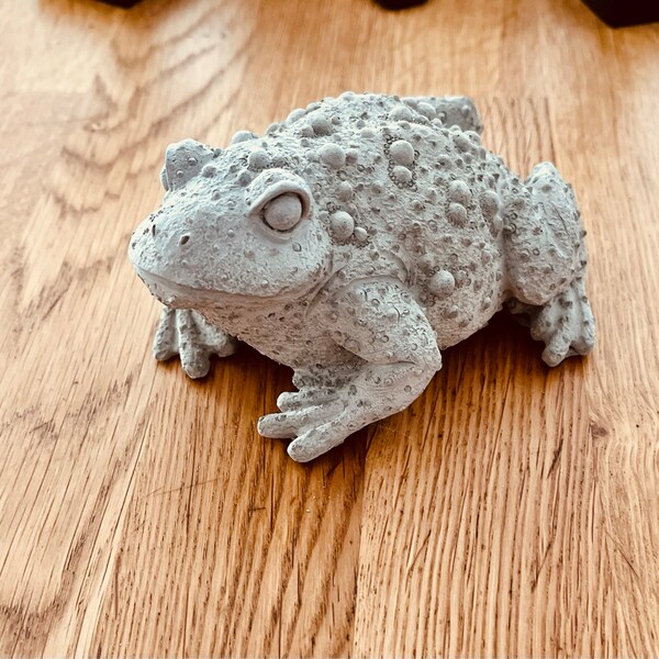 Warty Frog, Toad, Little Frog Prince, Frog Statue, Concrete, Stone Frog ...