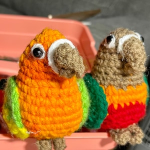 Parakeet Crochet Pattern - Etsy