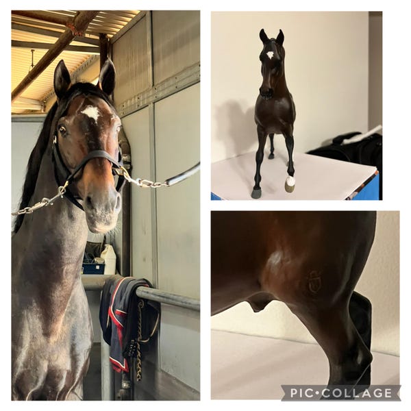 Custom Model Horse CLASSIC Scale |-| Custom Breyer Models to Match YOUR ...