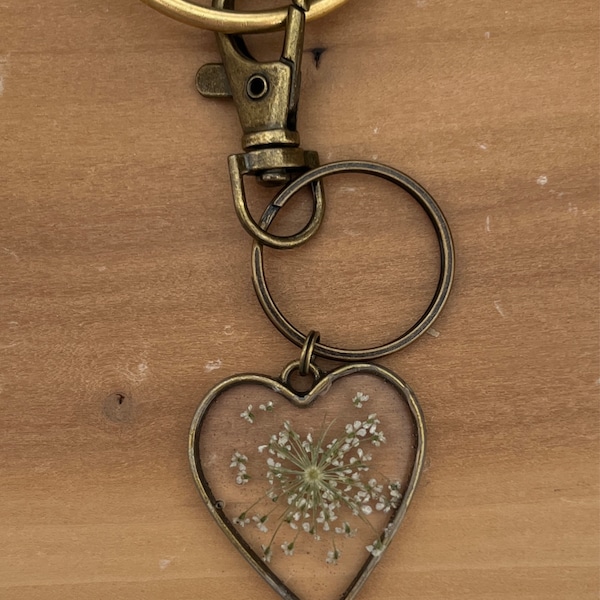 Pressed FIVE Leaf Clover Pack (not Perfect Clovers), Real Clovers for ...