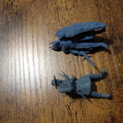 Vhok Ironfist, Hero for DND or Pathfinder 8K Resin Based Miniature the ...