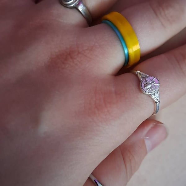 LGBTQ+ Fidget Rings, Pride Flag Fidget Rings, Pride Month, LGBTQ+ Flag ...