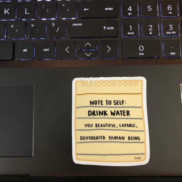Note to Self Drink Water Sticker - 3" Vinyl Sticker, Funny Gifts for ...