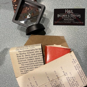 Penthicodes Farinosa Peleng, Real Lanternfly, Fulgoridae , Floating ...