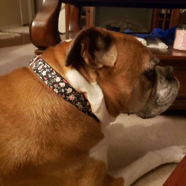 Floral Personalized Dog Collar Bow Tie Leash Set,custom Engraved Pet ...