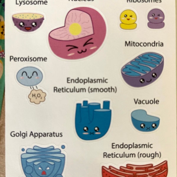 What's in a Cell? Organelles! (animal) | Decorative | Science Stickers ...