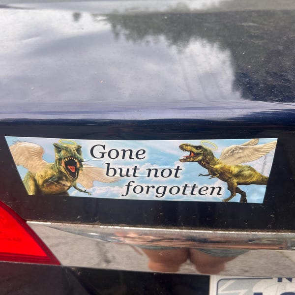 Funny T-rex Memorial Bumper Sticker - RIP Dinosaur Car Decal - Etsy