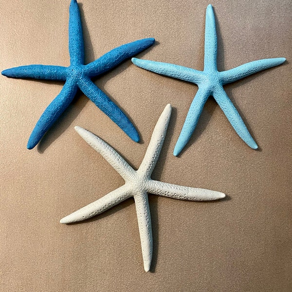 Painted Starfish - 6-7"-set of Three-robins Egg-aqua-turquoise-starfish ...