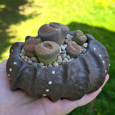 Handmade Ceramic Ring, Light Sky Blue Ceramic Ring, Size 4 Porcelain ...