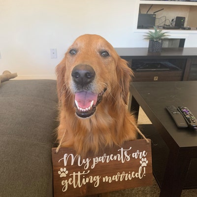 Our Parents Are Getting Married Sign-save the Date-save the Date Dog ...