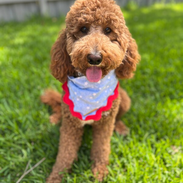 Chambray Pumpkin Bandana // Harvest, Pumpkins // Khaki, Orange ...