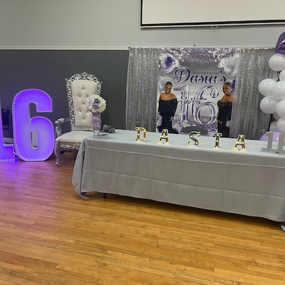 Custom Backdrop, Sweet 16 Backdrop, Winter Wonderland Backdrop, Silver ...