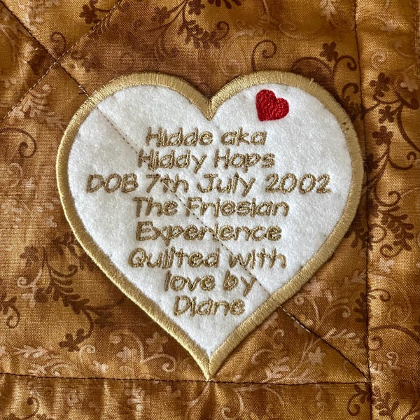 Personalised Heart Shaped Memory Patch Memory Bear Patch Memory Cushion ...