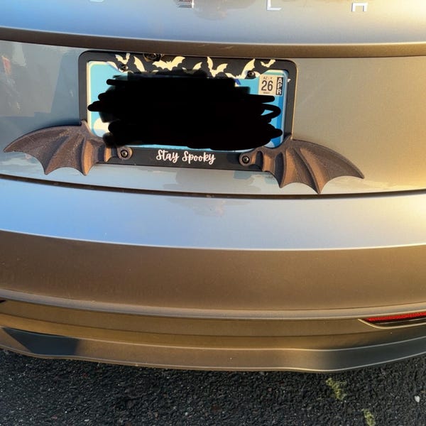 Hot Girls Hit Curbs License Plate Frame Emo Funny License Plate Funny ...