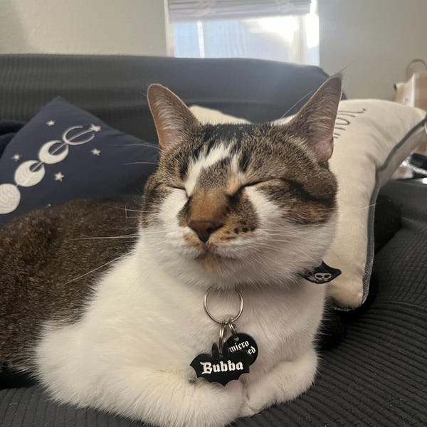 Squiggle Arch Rainbow Iridescent Acrylic Earrings - Etsy