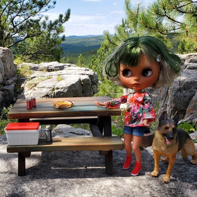 Barbie Picnic Table - Etsy