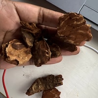 Jezebel Root - Etsy Canada