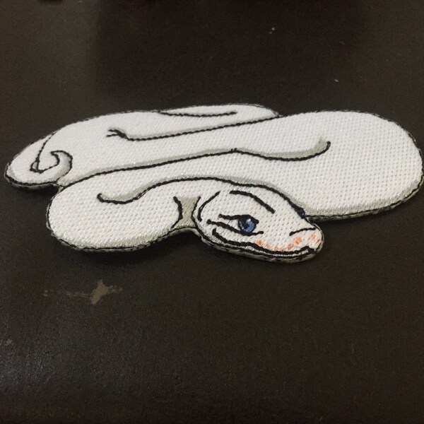 Awesome Royal White Ball Python Snake "python Regius" Serpent Pet Steam ...