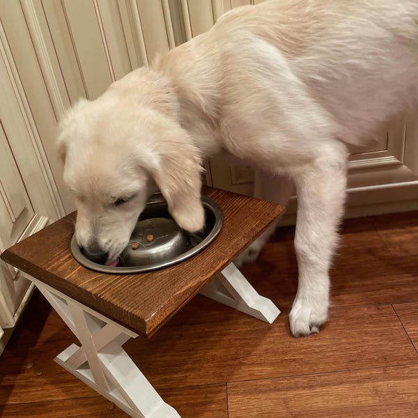 Medium Raised Dog Feeder - Etsy