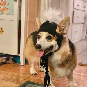 Corgi Beanie Dog Beanie Corgi Hats Dog Hat Dog Beanie | Etsy