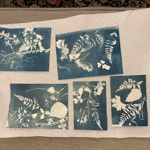 Cyanotype Kit Alice Stencils Sun Printing Kit Wonderland - Etsy