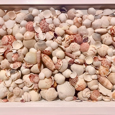 Wanderer Stand up Sea and Beach Glass Display Window - Etsy