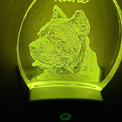Wolf Howling at Moon Night Light Sitiing Scene 2 and 3D Carved Battery ...