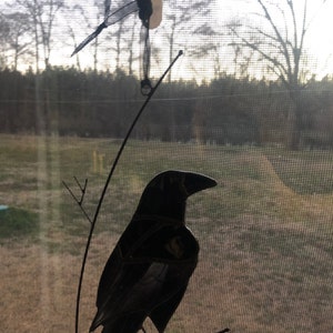 Stained Glass Raven on the Branch Crow Stained Glass Suncatcher Window ...