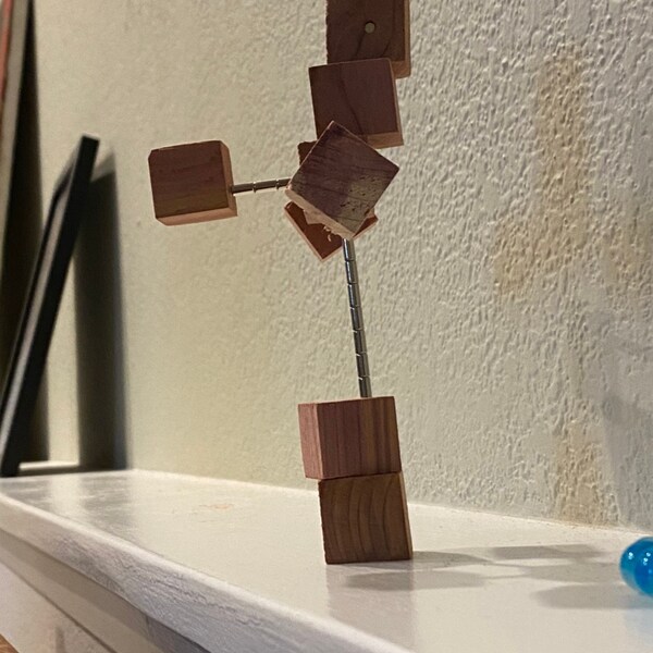 2 X 2X 3/4 Aromatic Red Cedar Wood Blocks Moth Ball Repellent (16) Free ...