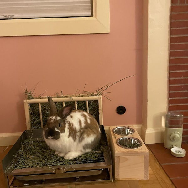 Stainless Steel Scatterless Litter Box With Guards Wood Hay Feeder Food ...